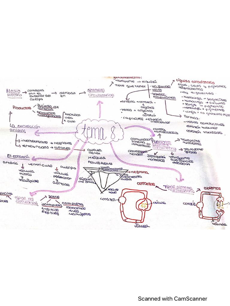 Tema 8 Biología-1 Bach | PDF