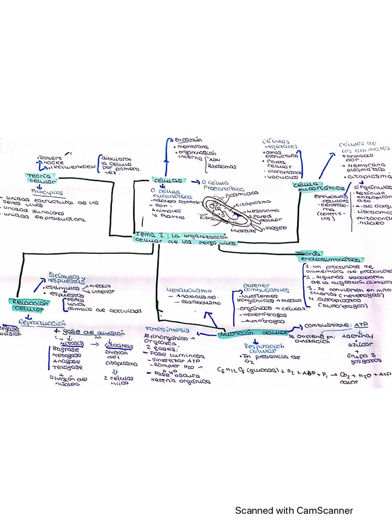 tema 2 biología-1bach | PDF