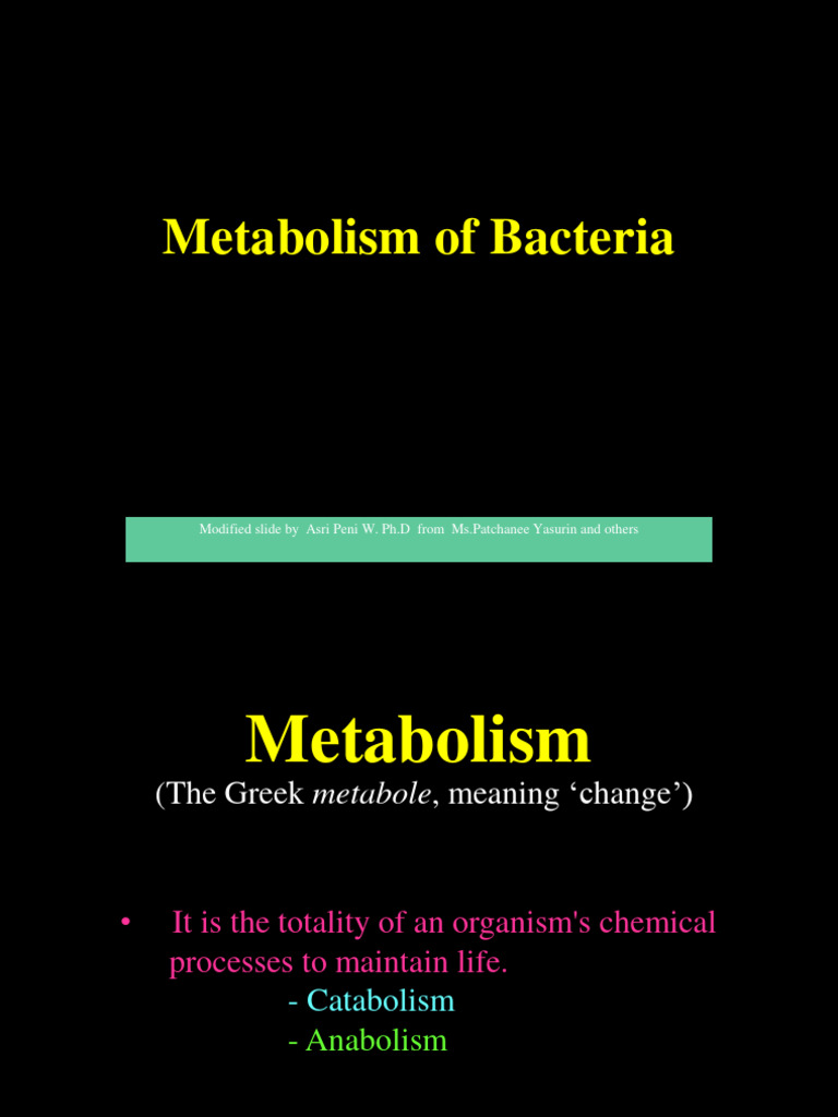Bacterial Metabolism Overview and Tests | PDF | Metabolism | Metabolic ...