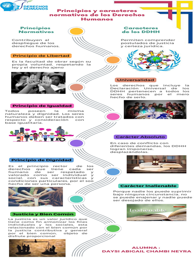 Principios y Caracteres de Los DDHH - Daysi Abigail Chambi Neyra | PDF ...