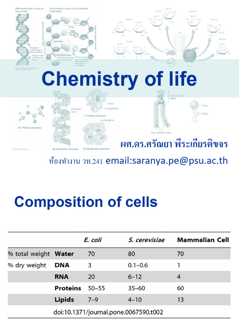 Chemistry of Life: Cell Composition and Macromolecules | PDF ...