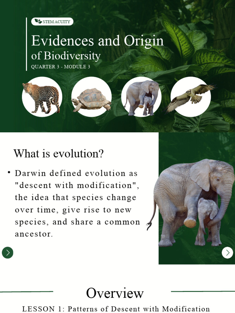 Evolution and Speciation Overview | PDF | Evolution | Natural Selection