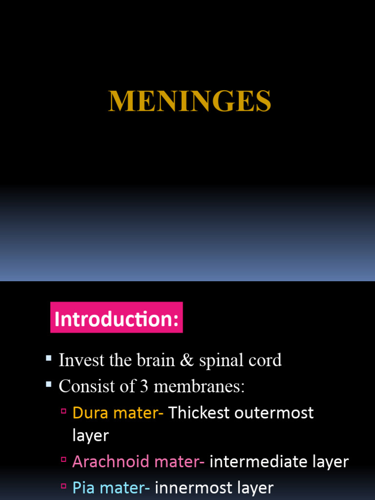 Meninges | PDF | Cerebrospinal Fluid | Spinal Cord