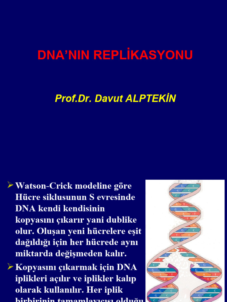 11 DNA'nın Replikasyonu | PDF