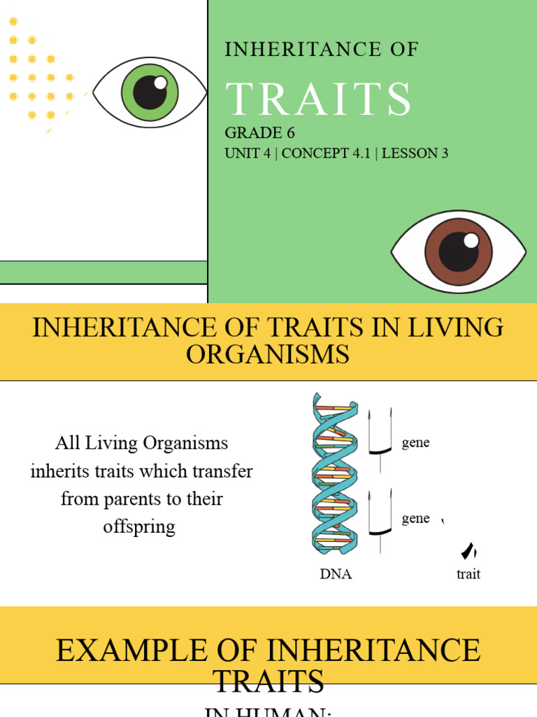 Heredity Trait Inheritance and Variation Educational Presentation in ...