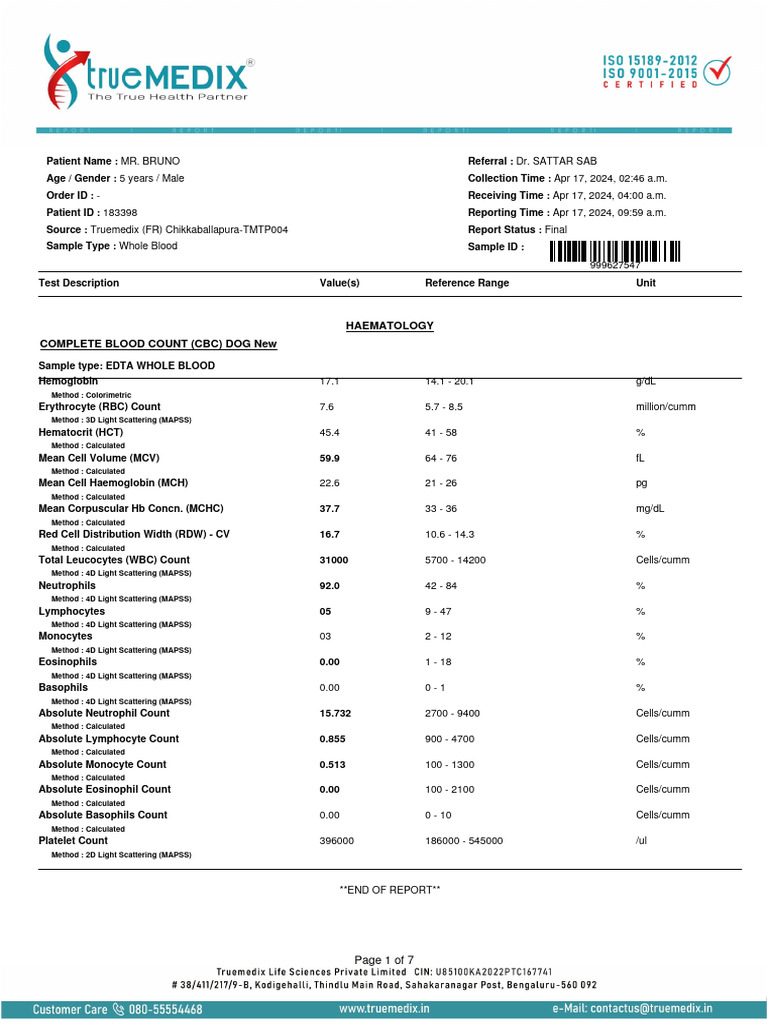 BRUNO Reports | PDF | Blood | Clinical Medicine
