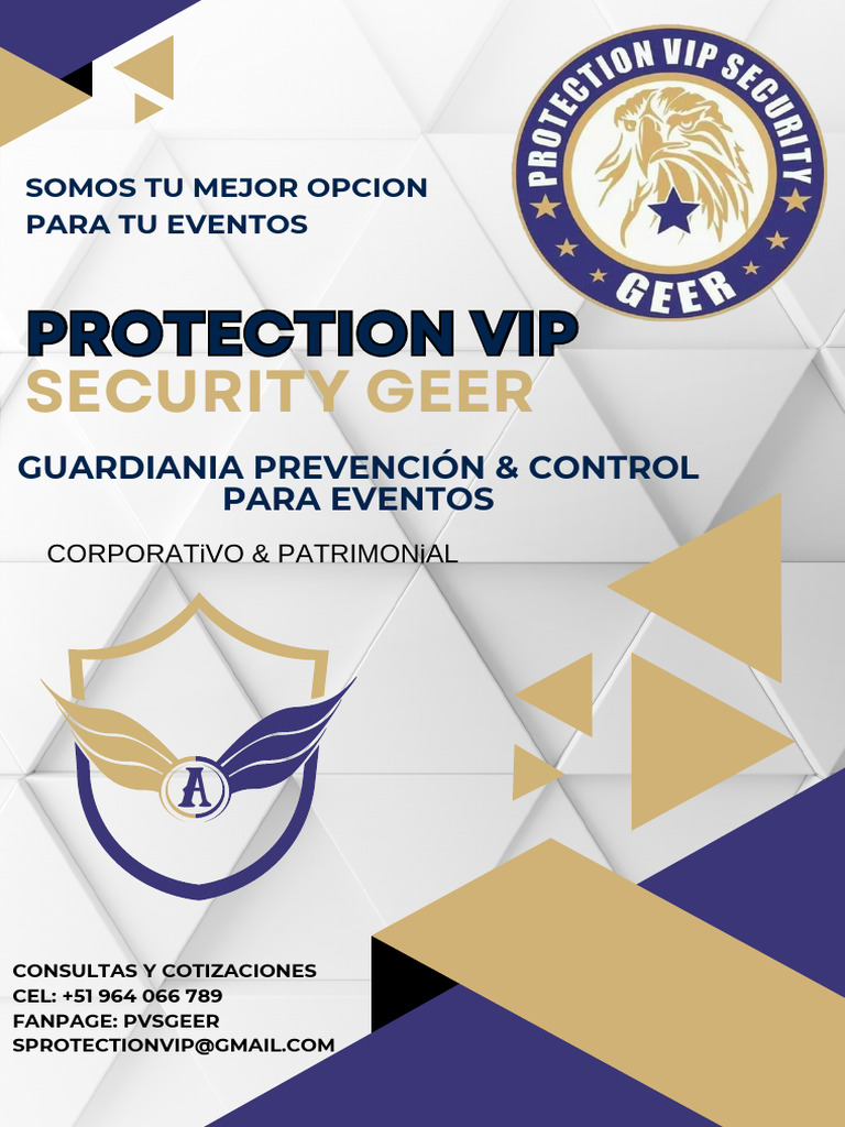 Carta de Presentacion Protection Vip Security Geer | PDF | Informática