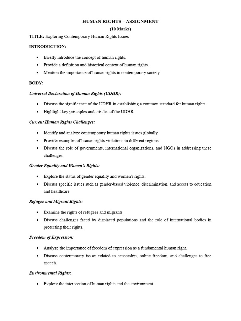 Human Rights Assignment | PDF