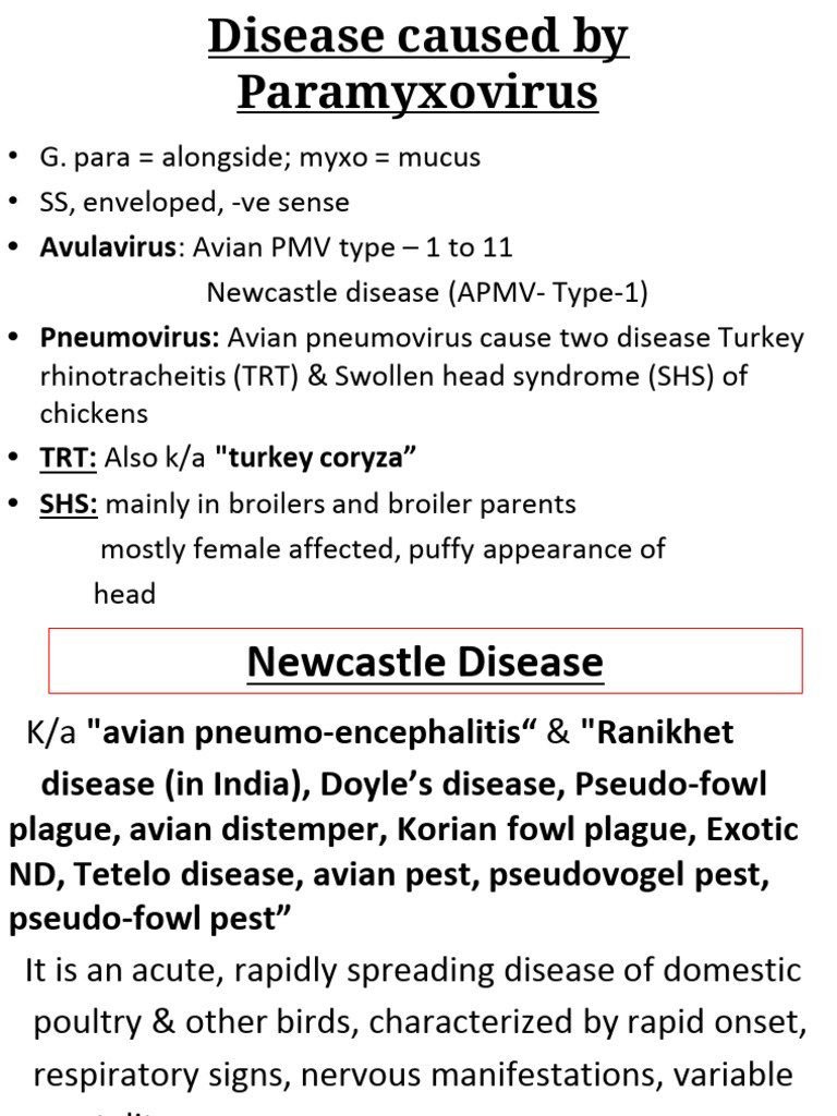 PARAMYXO | PDF | Virus | Vaccines