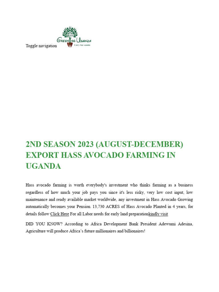 Hass Avocado Farming in Uganda Guide | PDF | Avocado | Agriculture
