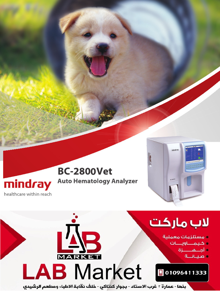dokumen.tips_bc-cbc-mindray-bc-2800-vet-blood-hematology-analysis-device-keywords-cbc-mindray | PDF