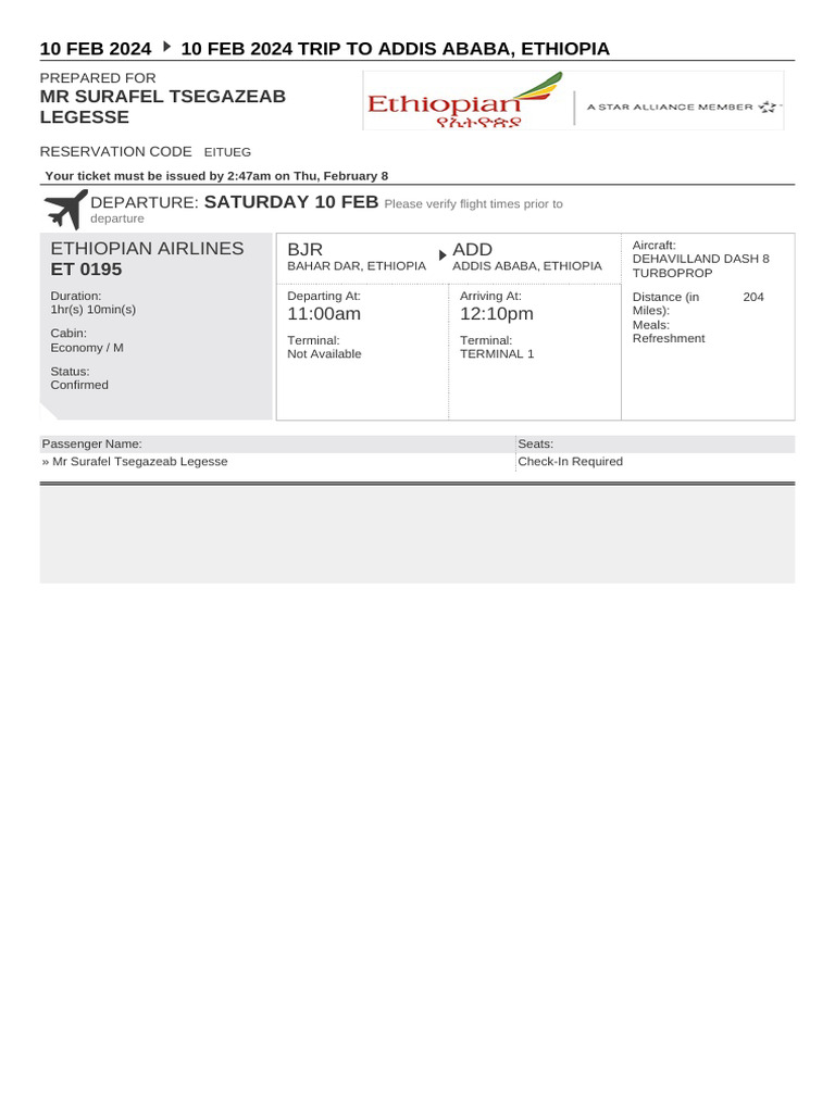 Travel Reservation February 10 For MR Surafel Tsegazeab Legesse | PDF