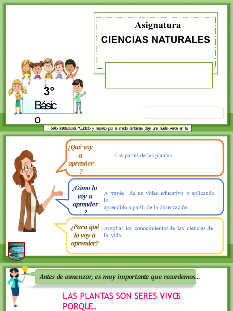 Power Point Partes de Una Planta 3º | PDF