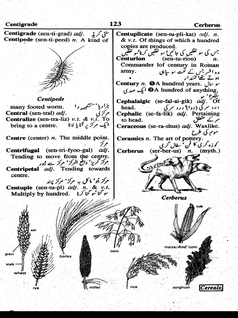 Part 7 Pdf 