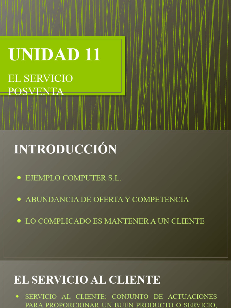 Unidad 11. El Servicio Posventa | PDF | Gestión de la relación con el cliente | Producto (Negocio)