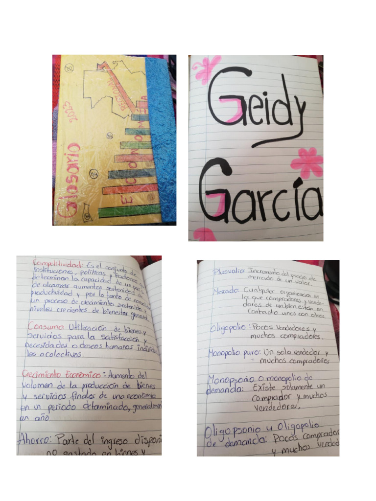 Glosario de Economia Geidy | PDF