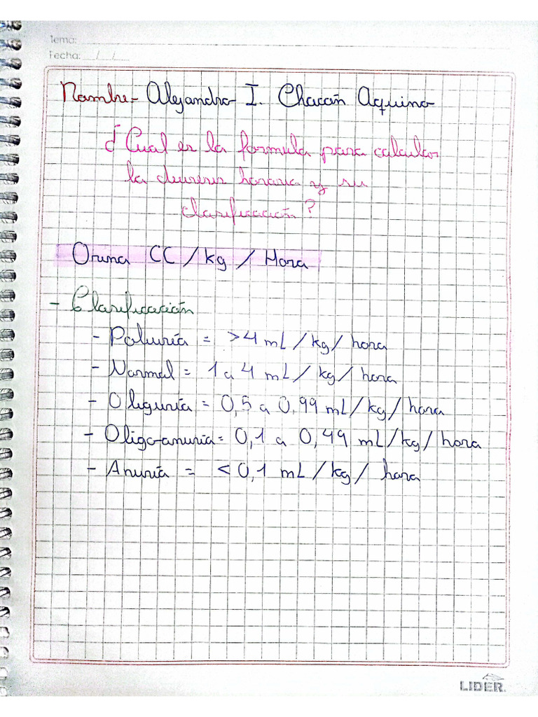 Diuresis Horaria | PDF