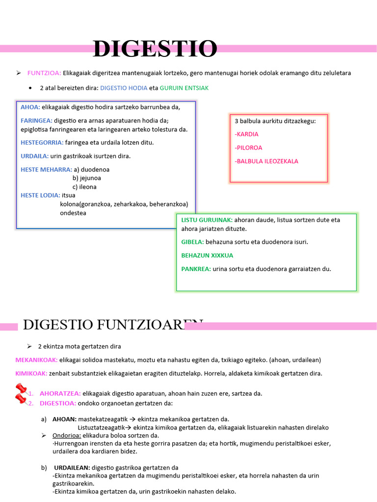 Bio-Geo: Digestio Aparatua | PDF