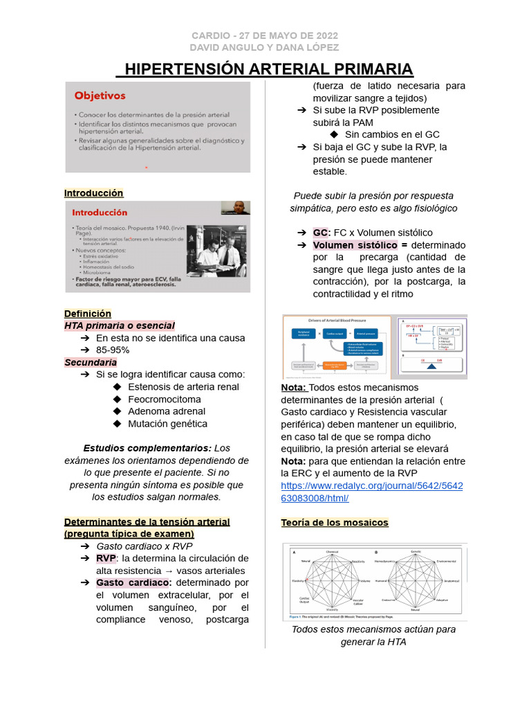 Hipertension Arterial Primaria | PDF | Hipertensión | Angiotensina