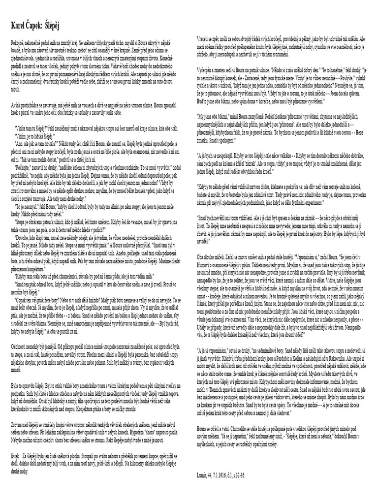 Karel Capek Slepej | PDF