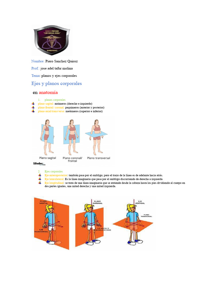 Ejes y Planos Corporales (Piero Sanchez Quiroz) | PDF