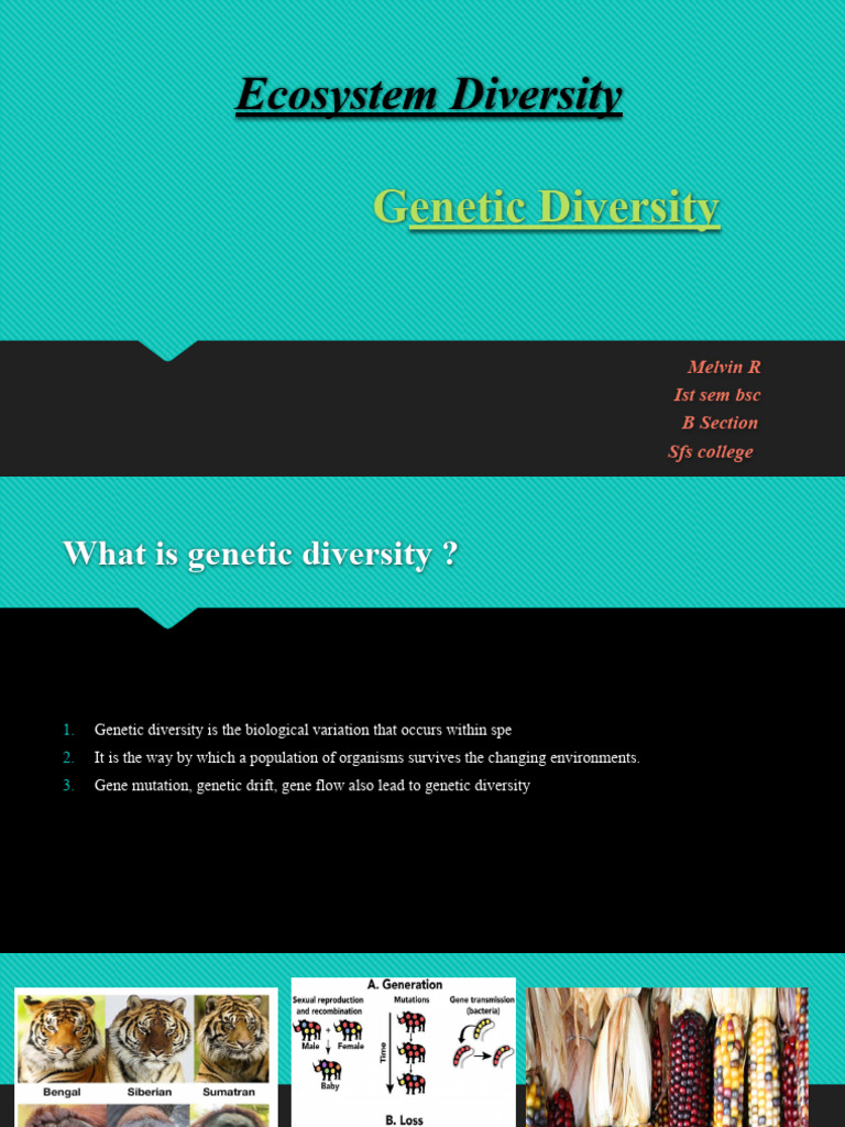 Importance of Genetic Diversity in Ecosystems | PDF