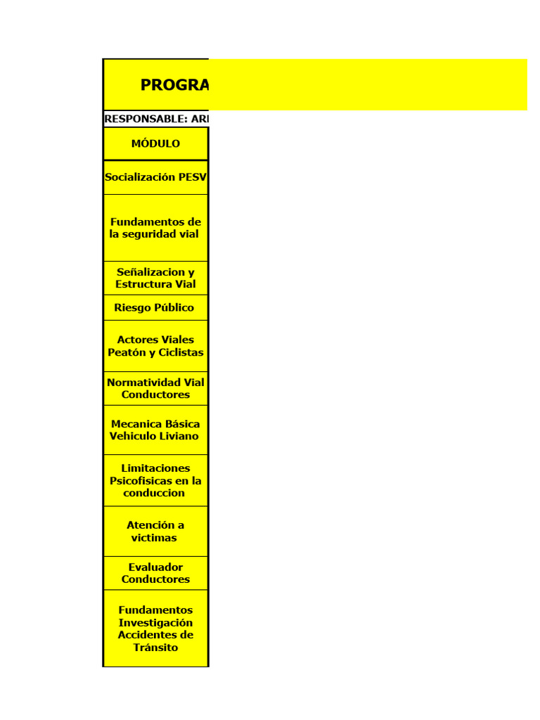 Anexo 29 Programa seguridad Vial | PDF | Seguridad vial | Accidente de ...