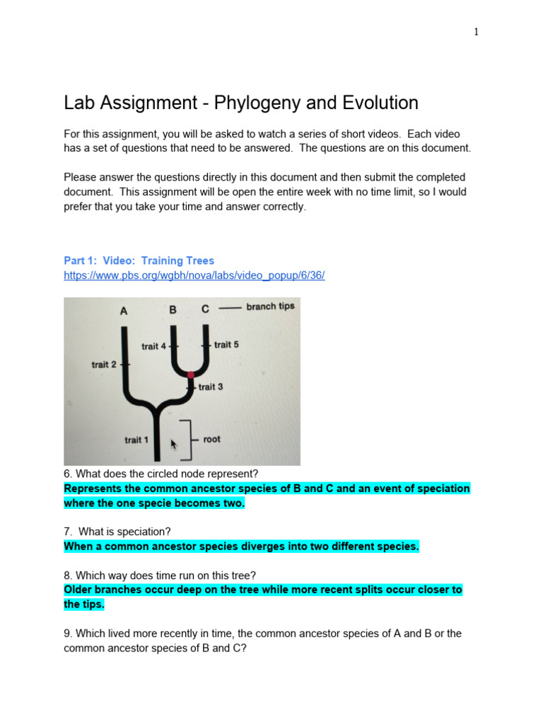 Lab Assignment-Phylogeny and Evolution | PDF | Evolution | Phylogenetic Tree