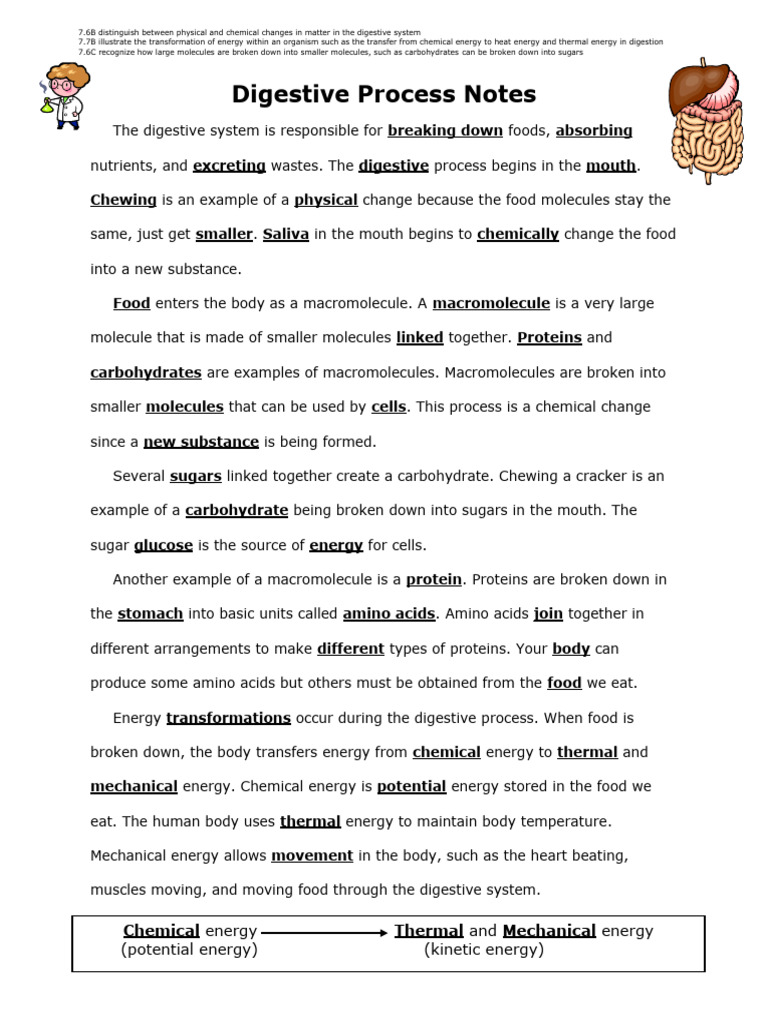Digestive Process Notes | PDF | Digestion | Carbohydrates