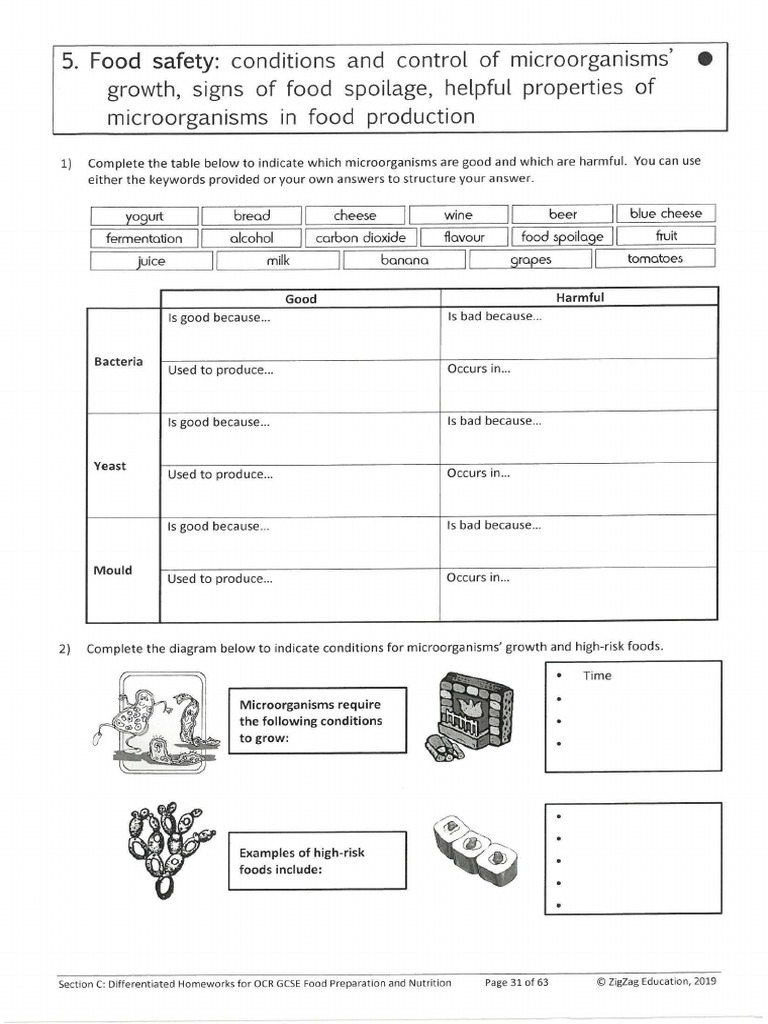Section C 5 Food Safety Differentiated | PDF