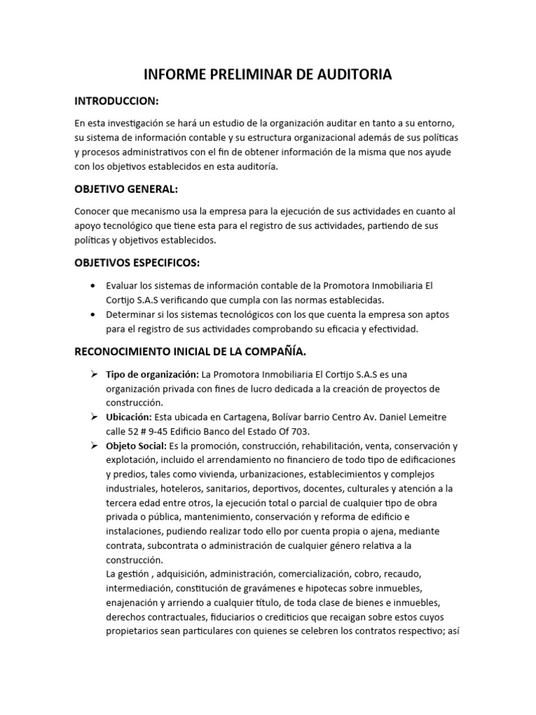 Informe Preliminar de Auditoria | PDF | Auditoría | Business