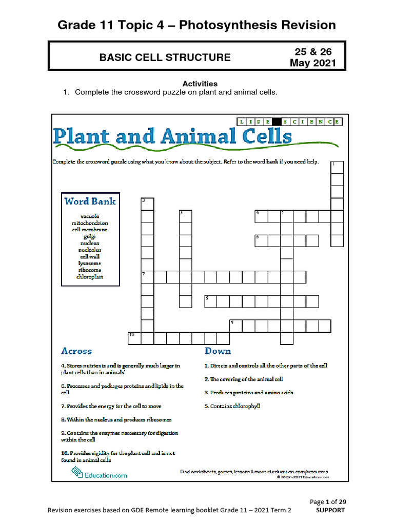 Gr.11 Life Sciences Remote Learning Workbook Term 2 - Revision | PDF ...