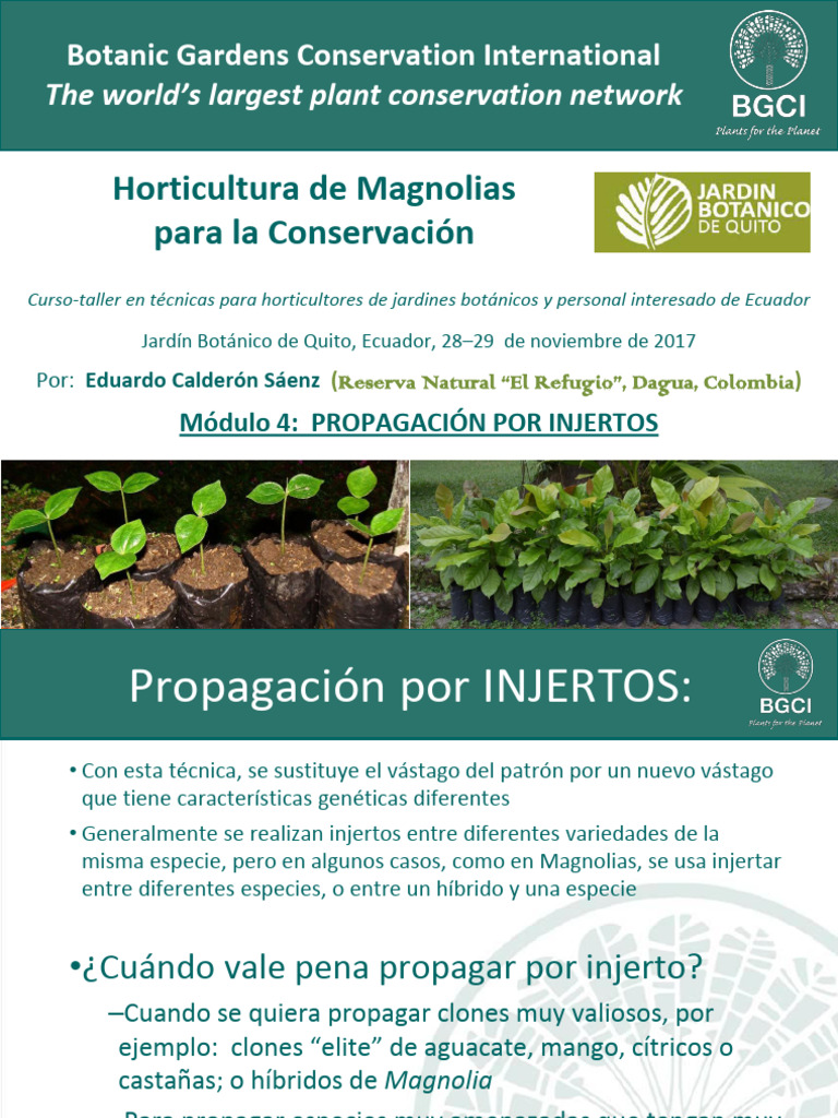 Modulo 4 Propagacion Injertos | PDF | Injerto | Tallo de la planta