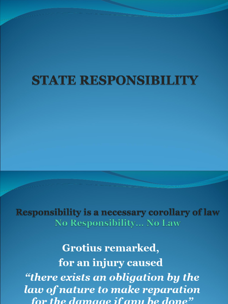 State Responsibility | PDF | Damages | Public Law