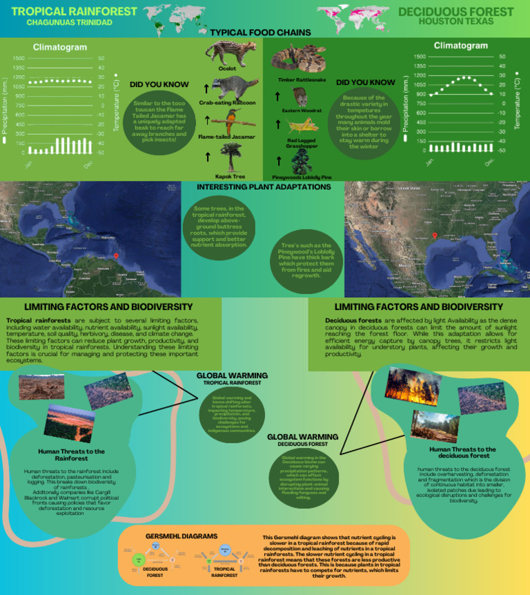 Positive and Negative Feedback Loops Poster | PDF | Forests | Trees