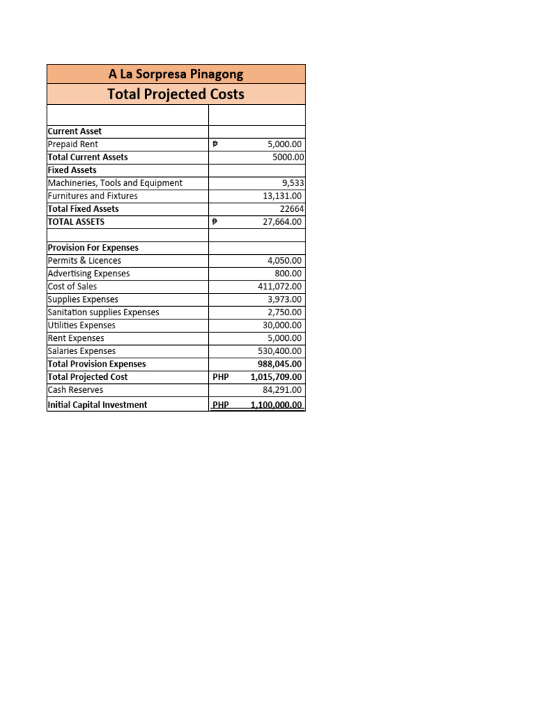 Vi Financial Plan A La Sorpresa Pinagong | PDF | Expense | Equity (Finance)
