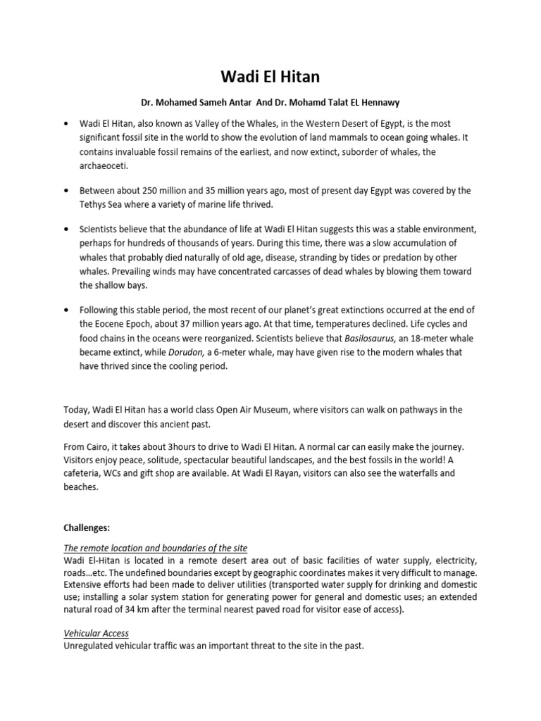 Hitan Challenges & Opportunities | PDF | Earth Sciences