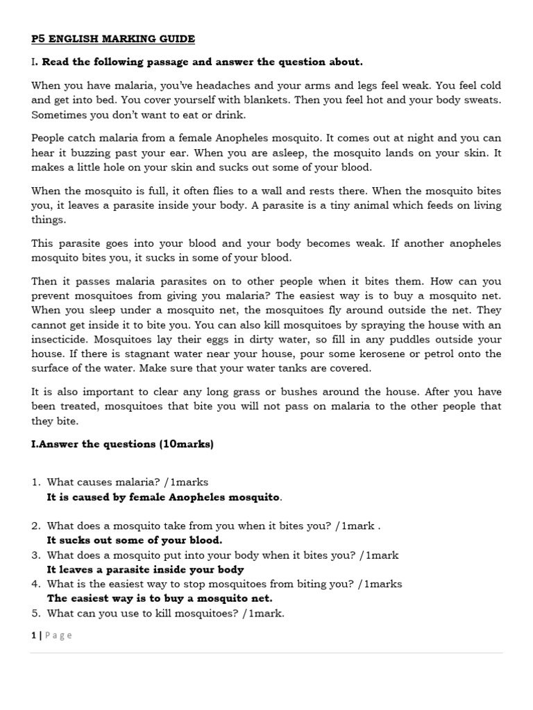 P5 Eng Making Guide | PDF | Mosquito | Malaria