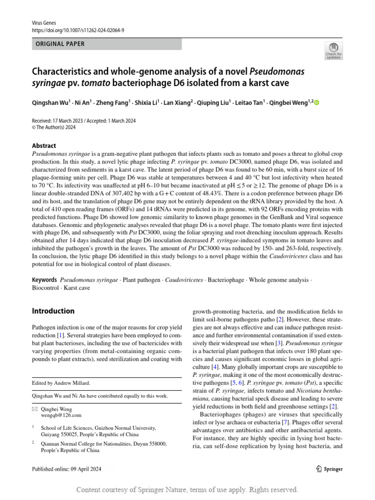 Novel Tomato Bacteriophage D6 Genome Analysis | PDF | Bacteriophage | Pseudomonas