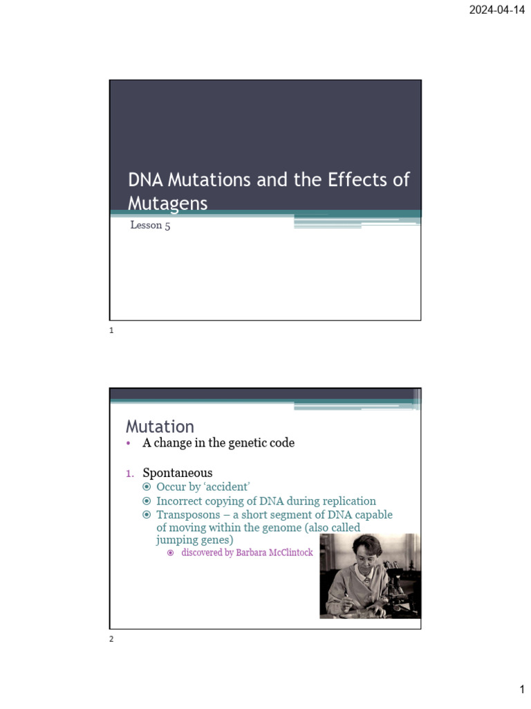 Lesson 5 - Mutations | PDF | Mutation | Gene