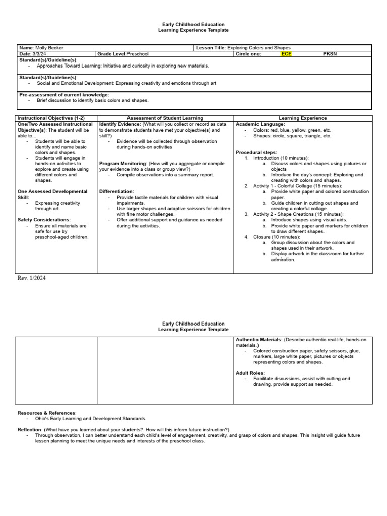 Ece Lesson Plan Template | PDF | Lesson Plan | Early Childhood Education