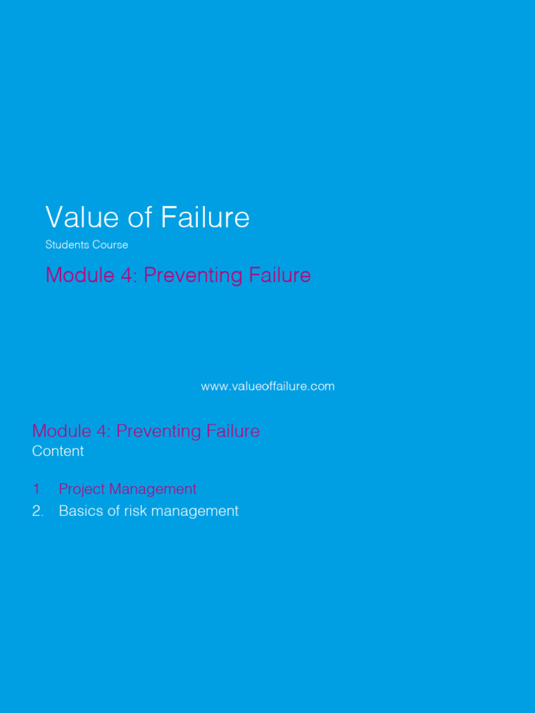 Presentation Module 4 Eng | PDF | Risk Management | Project Management