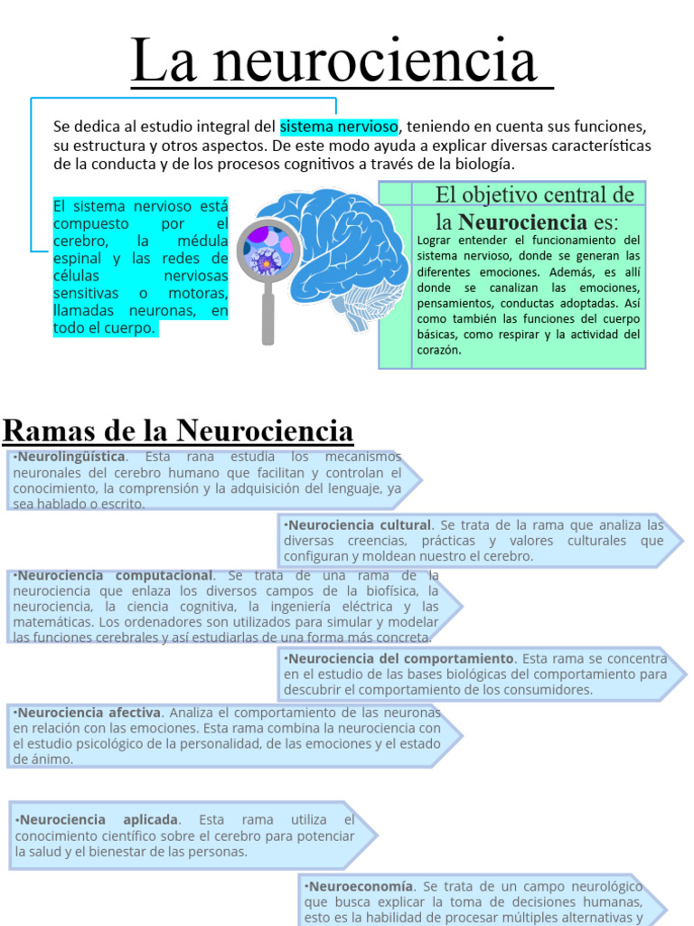 La Neurociencia | PDF | Neurociencia | Cerebro