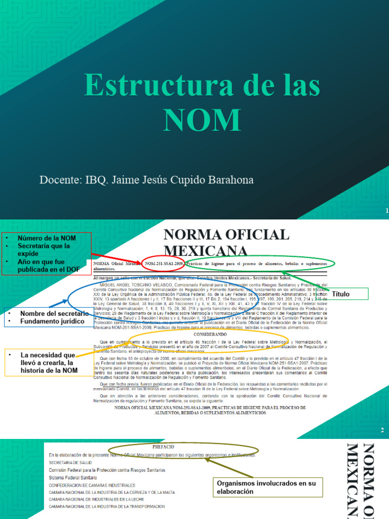 Estructura de Las Nom | PDF