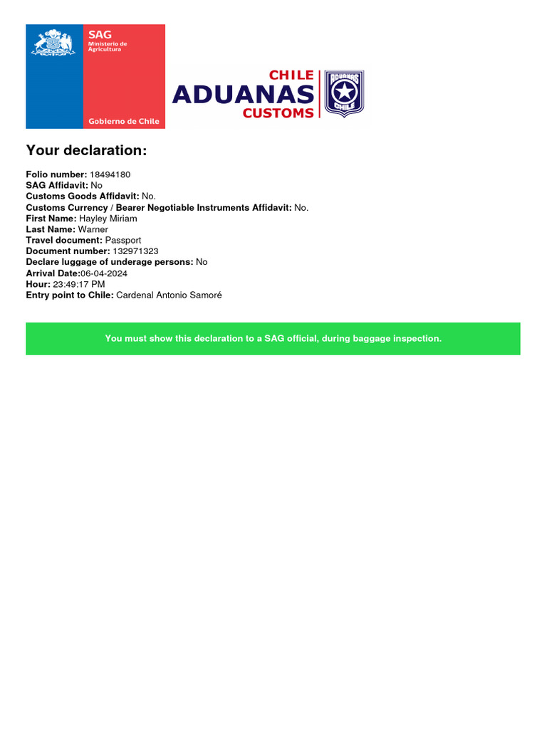 SAG Customs Declaration Overview | PDF