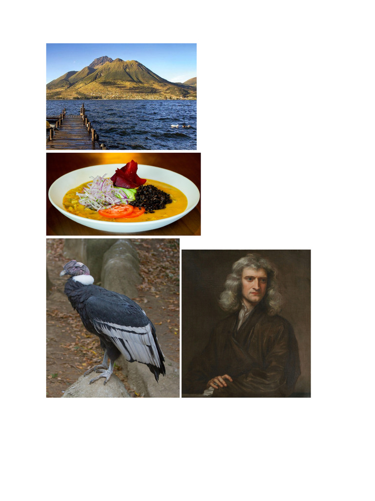 Documento sin título | PDF