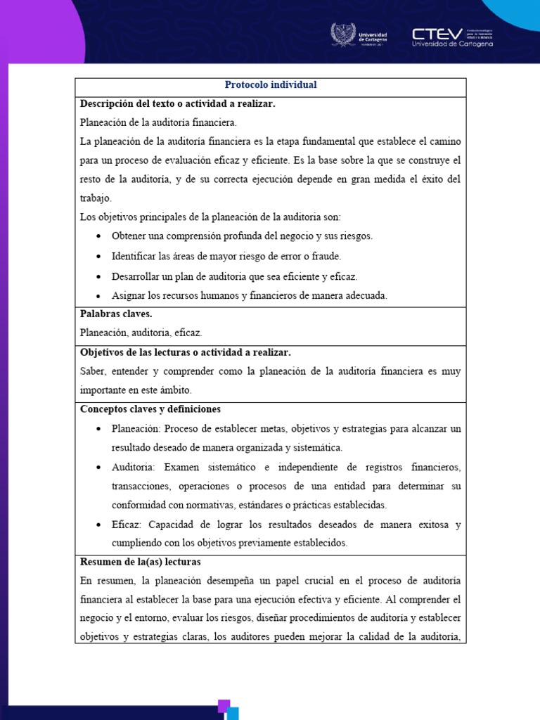 Protocolo Individual 2 - Auditoria | Descargar gratis PDF | Auditoría | Planificación
