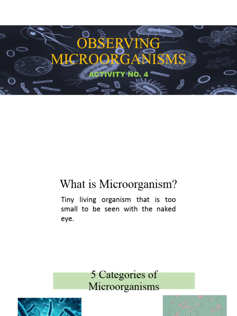 Observing Microorganisms: Hay Infusion Guide | PDF