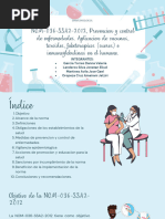 Nom-072 Etiquetado de Herbolarios | PDF | Medicamentos con receta ...