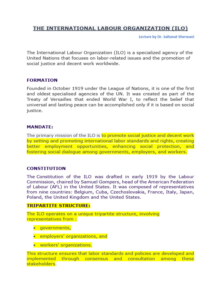 The International Labour Organization Pdf International Labour